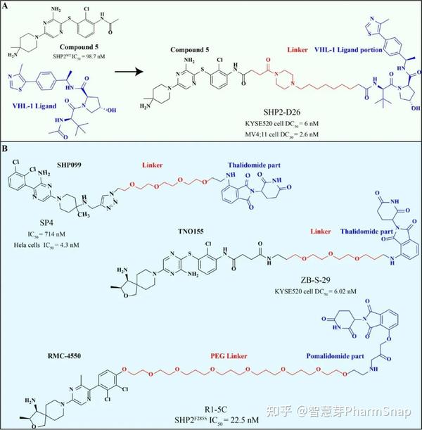 智慧芽Synapse | 靶向蛋白酪氨酸磷酸酶SHP2用于癌症治疗的策略 - 知乎