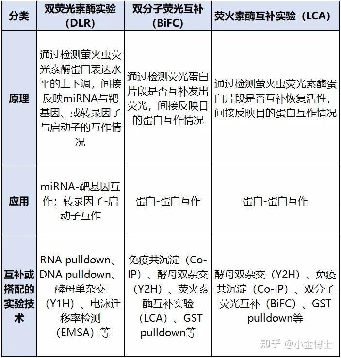 干货长图文| 一文读懂并区分双荧光素酶实验（DLR）、双分子荧光互补(BiFC)、荧火素酶互补实验（ LCA） - 知乎