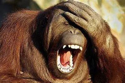 出国经验帖 | 要“疯”了！“发疯”的俚语怎么这么多！ - 知乎