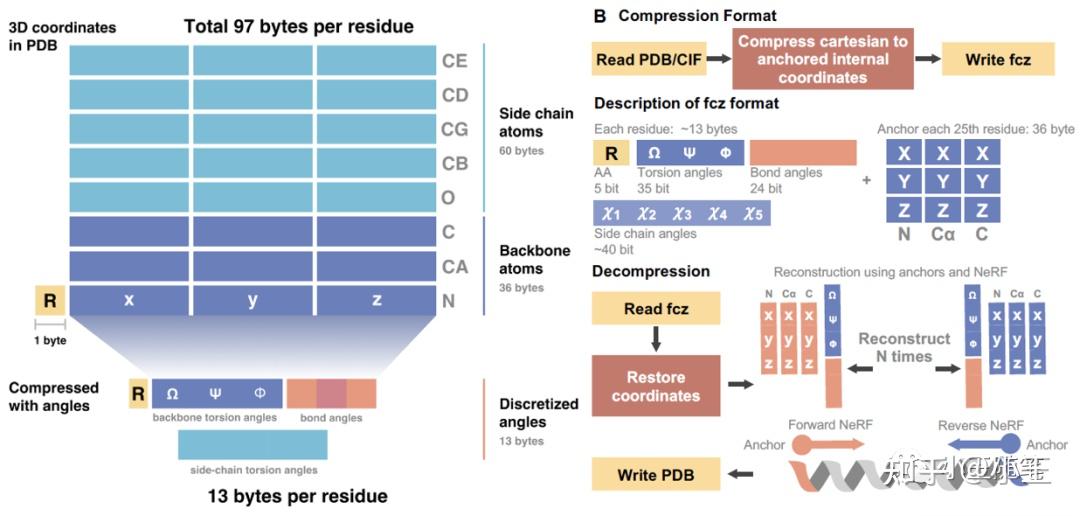 蛋白结构生物信息学的造极：AlphaFold DB的结构挖掘 - 知乎