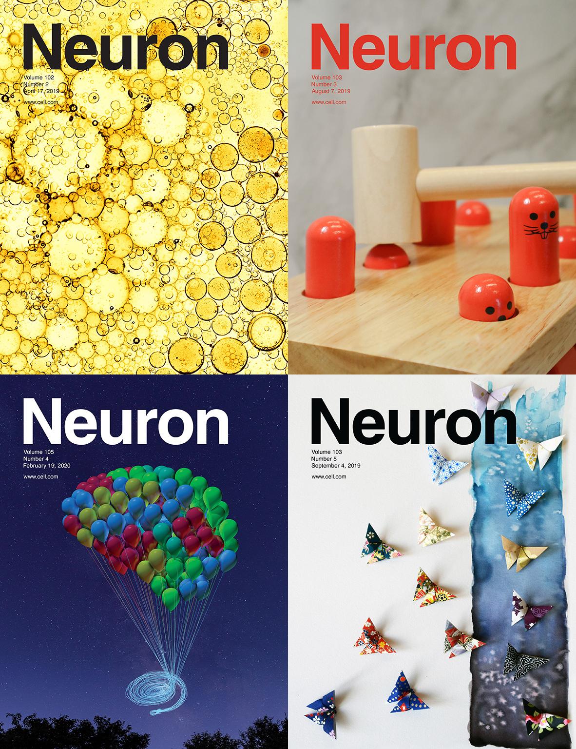 72张《Neuron》精美封面鉴赏丨2019~2021年上半篇 - 知乎