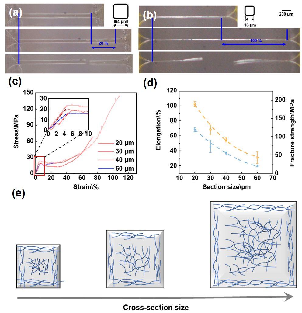 通过材料“尺寸效应”实现对微纳3D打印结构的力学性能调控 - 知乎