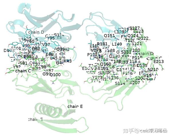 Pymol自动显示蛋白-蛋白相互作用 - 知乎