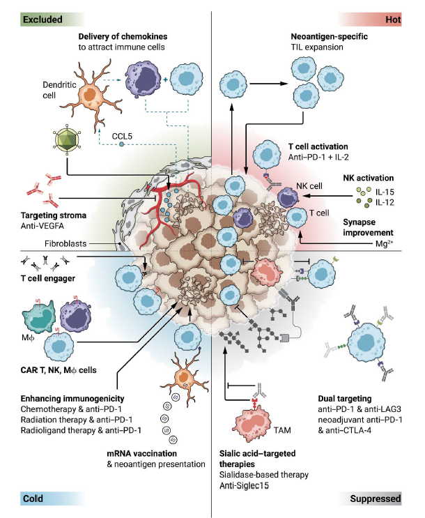 肿瘤免疫治疗——Sci Trans Med：联合免疫疗法：适应肿瘤微环境的新策略 - 知乎