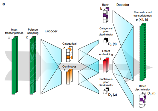 Cell BLAST：scRNA序列数据查询和注释工具 - 知乎