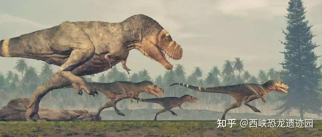 恐龙科普——寻找霸王龙！ - 知乎