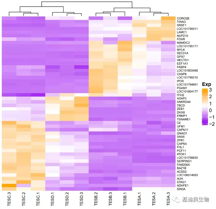 R语言教程|如何为热图添加指定的基因标记？ - 知乎