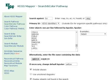 软件工具丨通过KEGG mapper搜索基因参与的通路 - 知乎