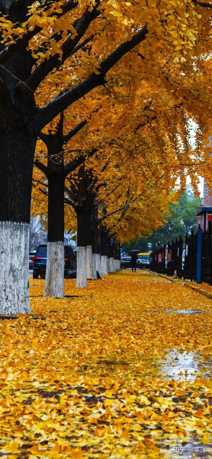 英语副词：gradually - 知乎