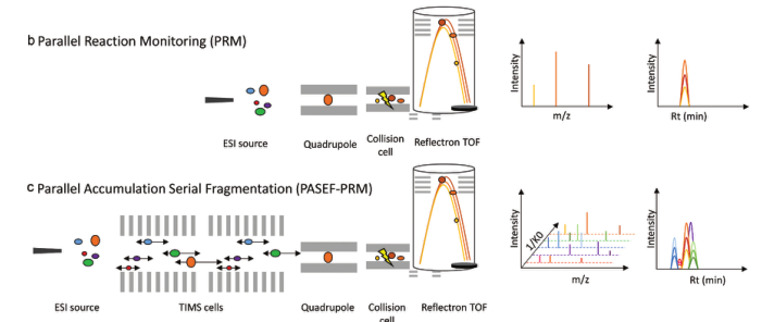4D-PRM新品| 吉凯靶向蛋白质组PRM技术全面升级，开启4D-PRM新时代！ - 知乎