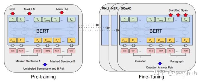 如何微调BERT模型进行文本分类 - 知乎