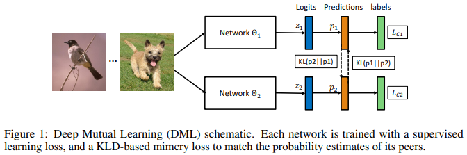 【论文阅读】《Deep Mutual Learning》 - 知乎