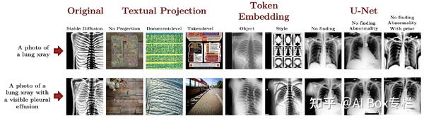 Multimodality in Medical Domain：一文速览医学多模态进展 - 知乎