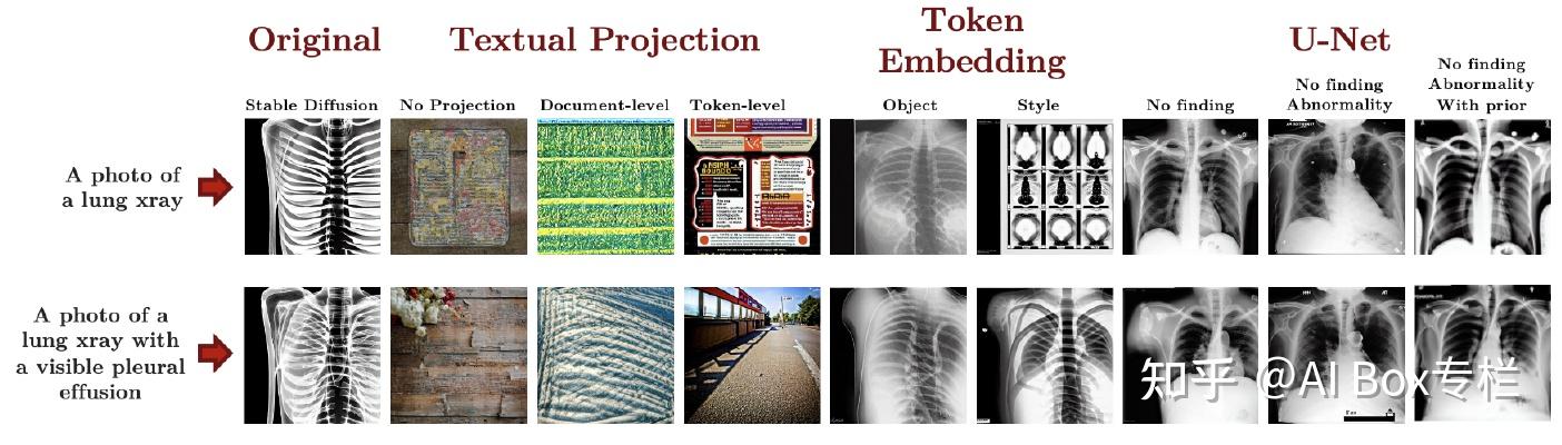 Multimodality in Medical Domain：一文速览医学多模态进展 - 知乎