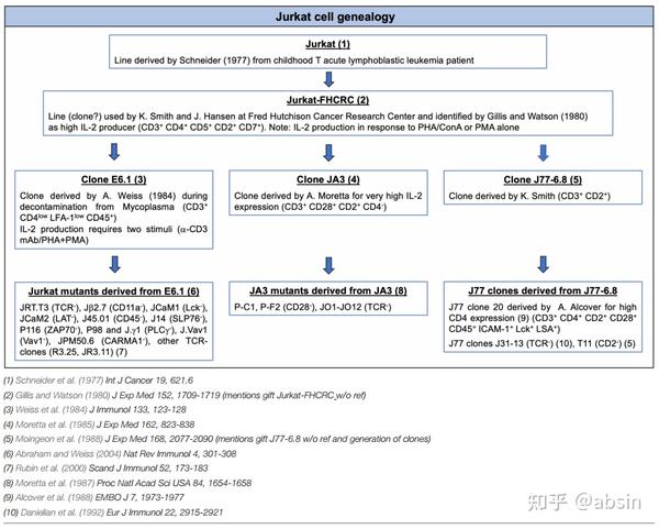 Jurkat（Clone E6-1）细胞培养攻略 - 知乎