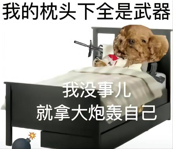 80张最近很火的发疯表情包|精神状态|无水印表情包 - 知乎