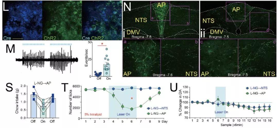 【文献解读】Cell丨脑肠轴如何调控奖赏系统？ - 知乎