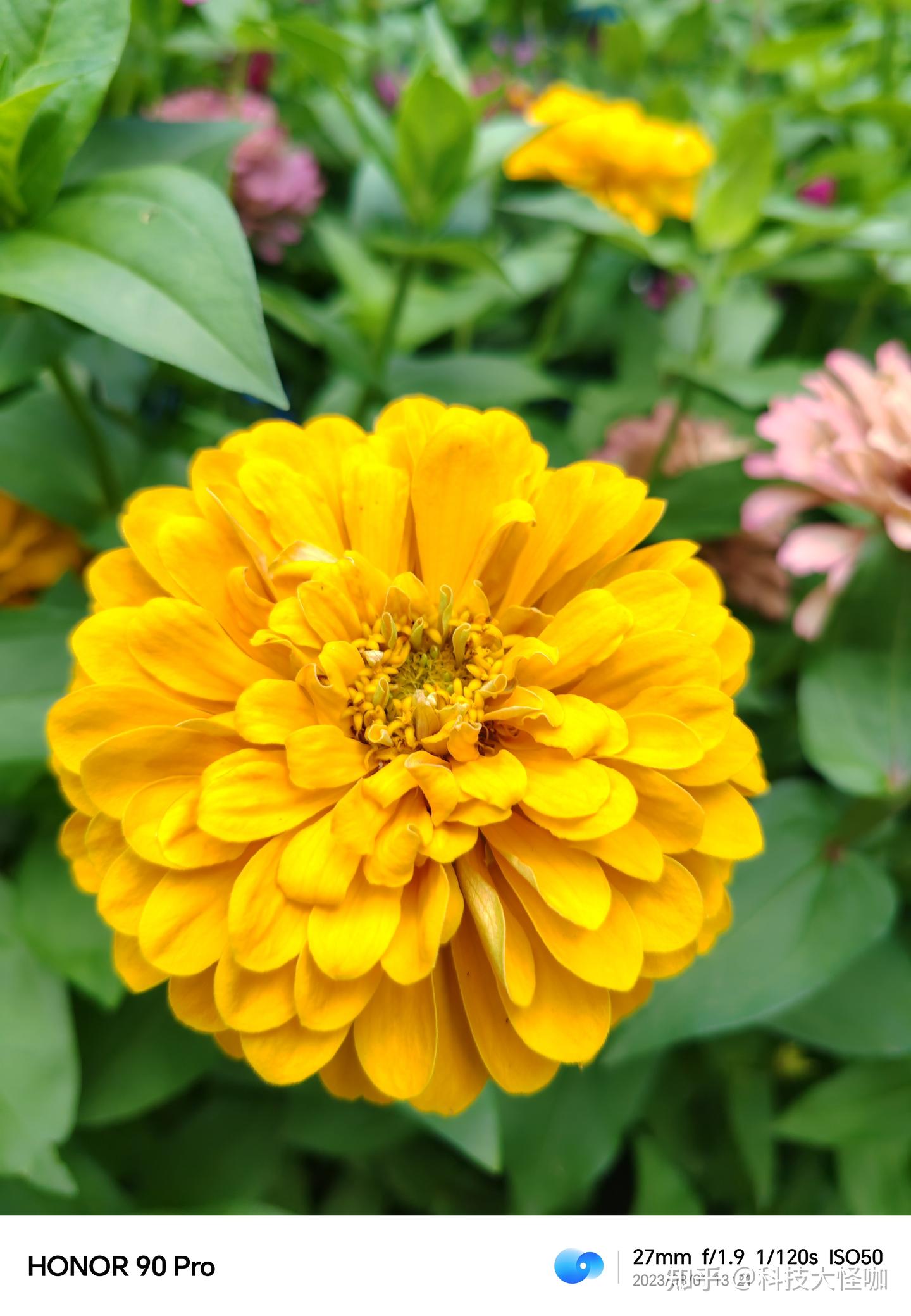 比LCD屏还护眼？跟风买了荣耀90Pro，用了一个多月，聊聊真实体验 - 知乎