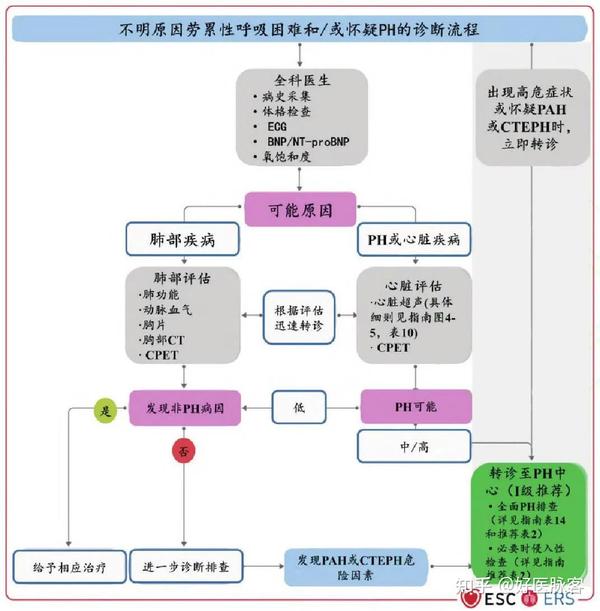 肺动脉高压的诊断流程更新 - 知乎
