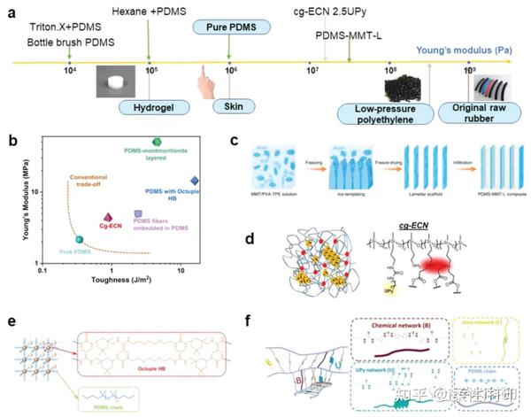 柔性基底 PDMS 最新的那些事儿 - 知乎
