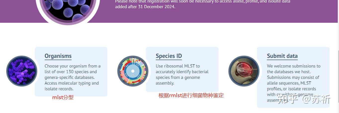 MLST：细菌多序列位点分型 - 知乎