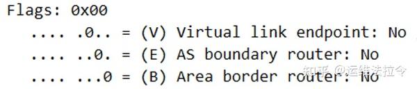OSPF-LSA详解 - 知乎