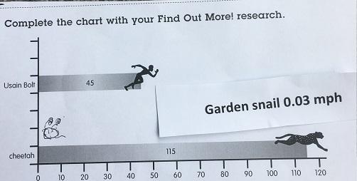 CLIL教学法分享 - 知乎