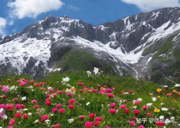 Stable Diffusion绘画入门 - 知乎