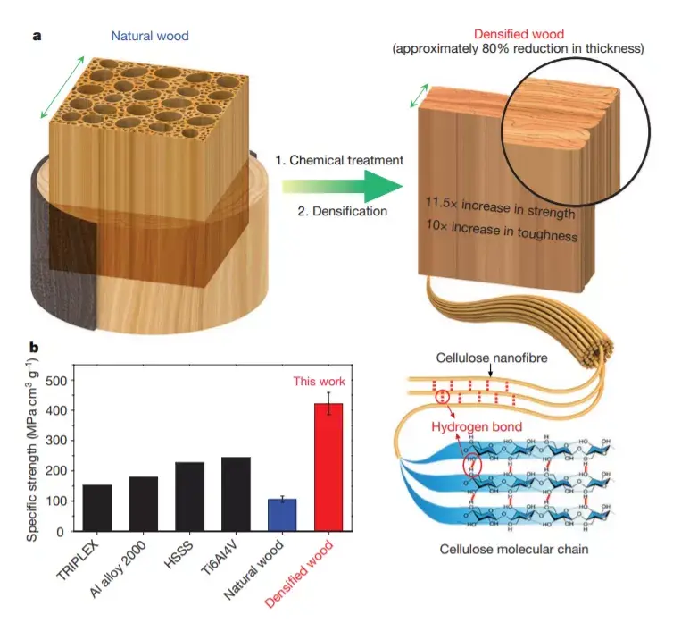 一路逆袭！从辍学少年到武大教授，他的故事感人至深！ - 知乎