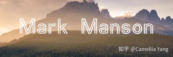 浅谈Mark Manson,《那不勒斯四部曲》和线上导师 - 知乎