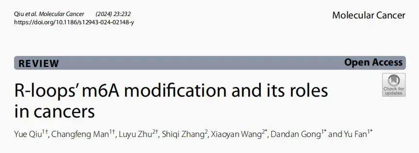 m6A与R-loop研究前沿 | 从基因组稳定性到癌症靶向治疗的机制全景 - 知乎