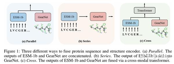 《Enhancing Protein Language Models with Structure-based Encoder and Pre ...
