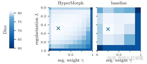 以小见大——Hypermorph，更好地在配准任务中摊销损失超参数搜索上的成本 - 知乎
