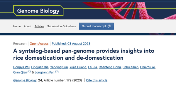 Genome Biology | 樊龙江、钱前团队联合构建基于共线基因的水稻泛基因组 - 知乎