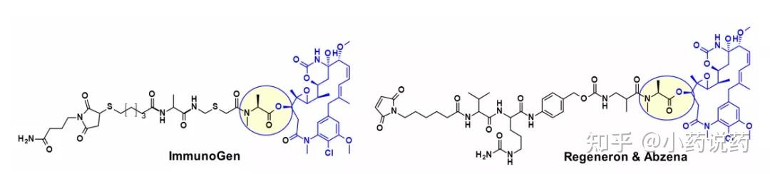 收藏！ADC全景概况（payload，linker，conjugate和Endocytosis） - 知乎