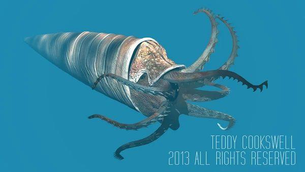 头足纲小传05：角石：空前未绝后 - 知乎