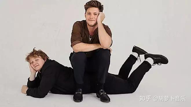 追星必备！你需要知道有关Lewis Capaldi的十件事 - 知乎