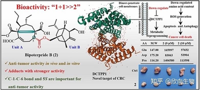 天然小分子干扰代谢重编程-为结直肠癌研究赋能 - 知乎