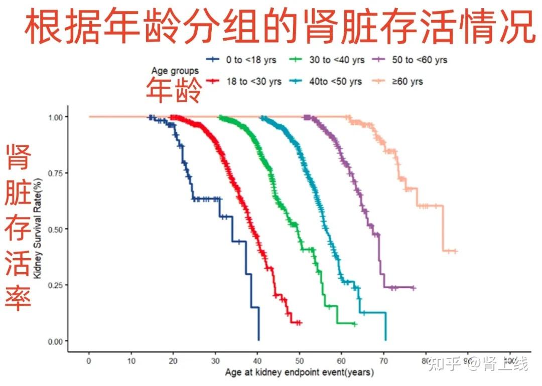 北大最新研究：IgA肾病中位肾衰竭12.4年，多数15年内进展为尿毒症？背后2大核心因素 - 知乎