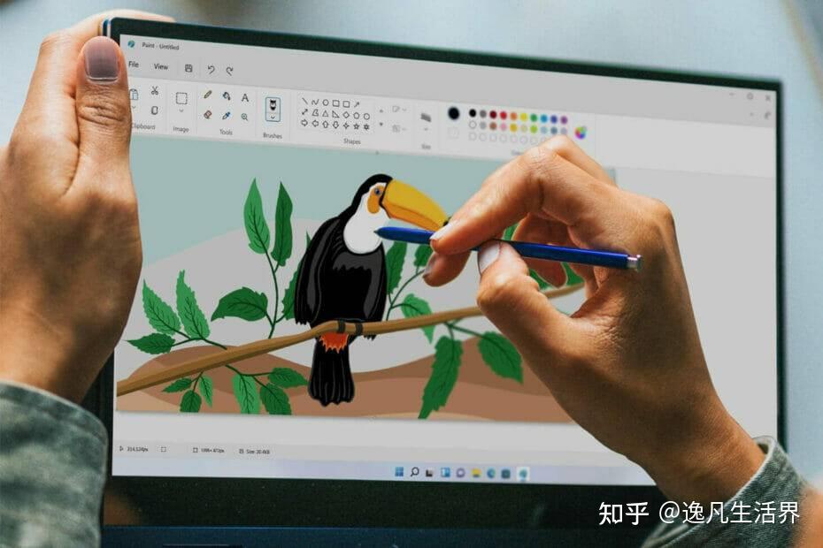 为全新的 Windows 11 画图体验做好准备 - 知乎