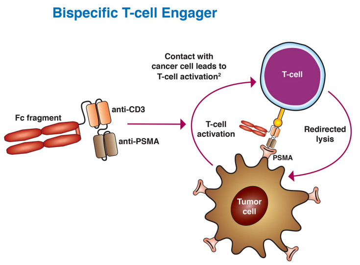 PSMA：前列腺癌明星靶点 - 知乎