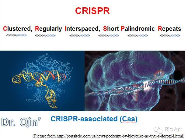特别推荐丨CRISPR问鼎诺奖之英雄谱系列 - 知乎
