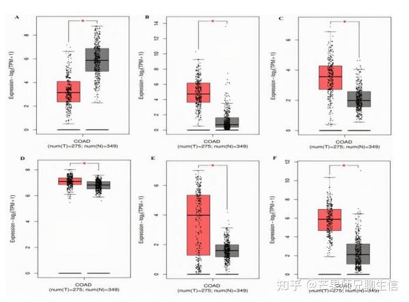 肿瘤免疫 · 实操教程Day10.UALCAN使用教程 - 知乎