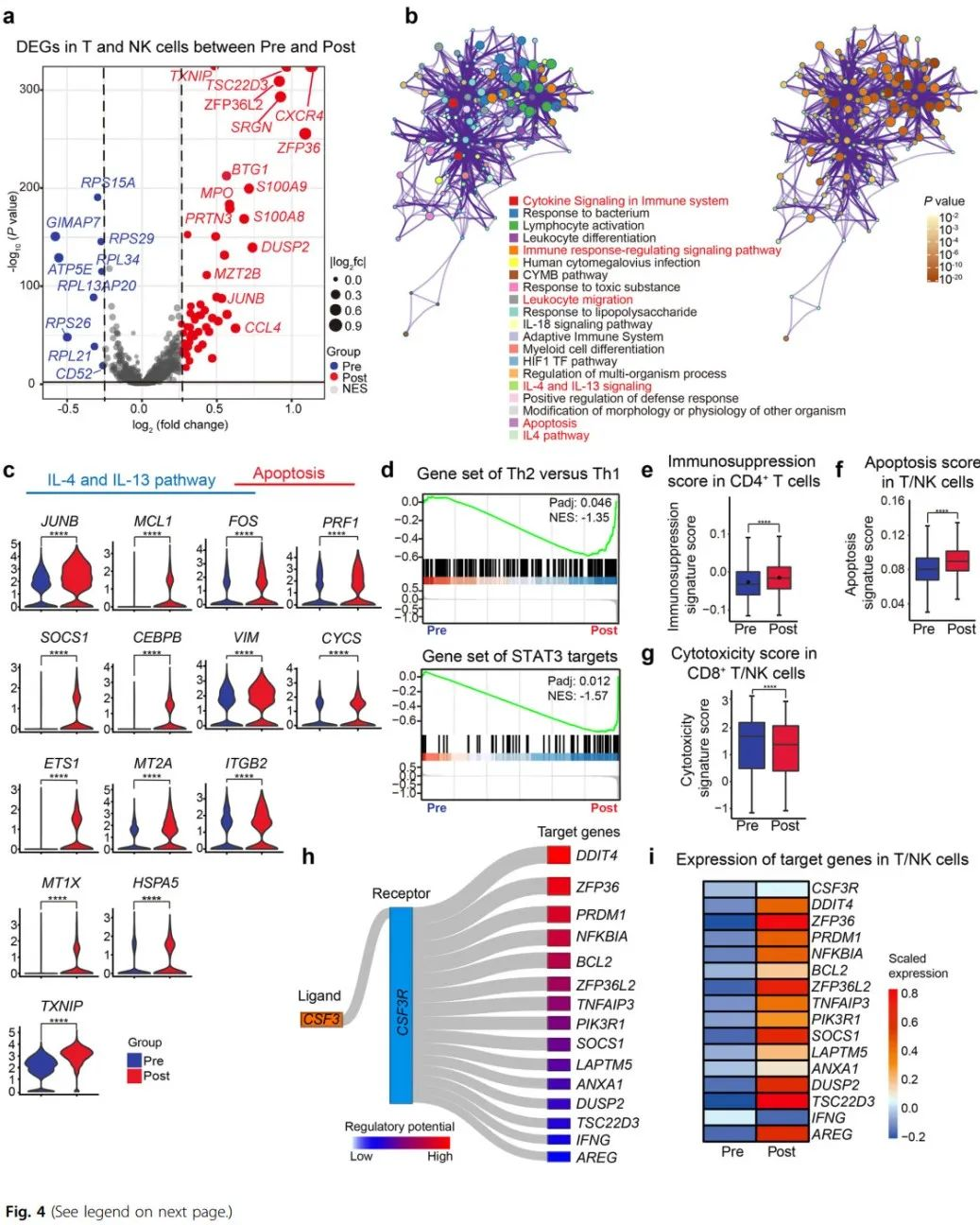 Cell Discovery最新项目文章 | 单细胞转录组测序揭示G-CSF诱导人骨髓造血淋髓偏倚和免疫低反应性的潜在机制 - 知乎