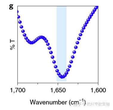 专肽生物：蛋白质材料：Pro-Phe-Phe自组装 - 知乎