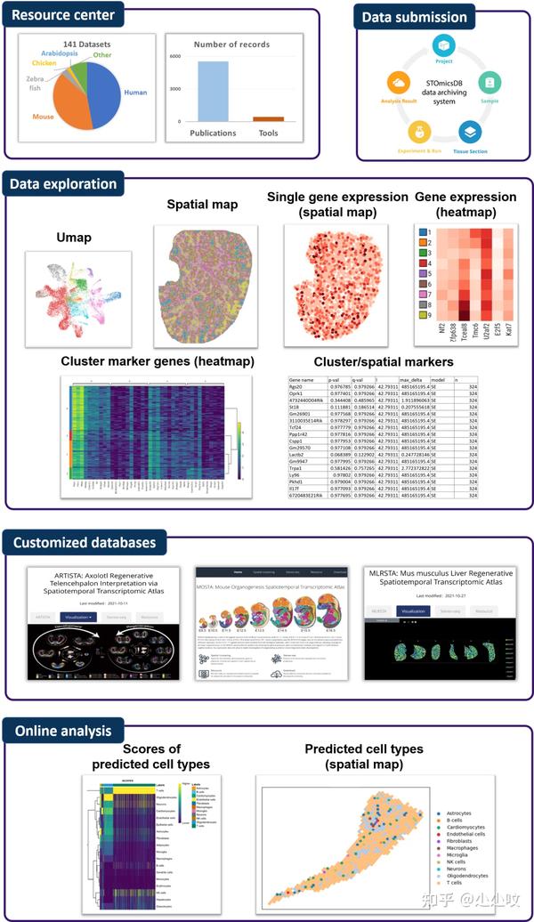 重磅发布 | 时空组学数据库STOmicsDB，“一站式”赋能时空组学研究！ - 知乎