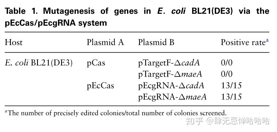 CRISPR Cas9 技术在大肠杆菌中的应用pCas/pTargetF system vs. pEcCas/pEcgRNA - 知乎