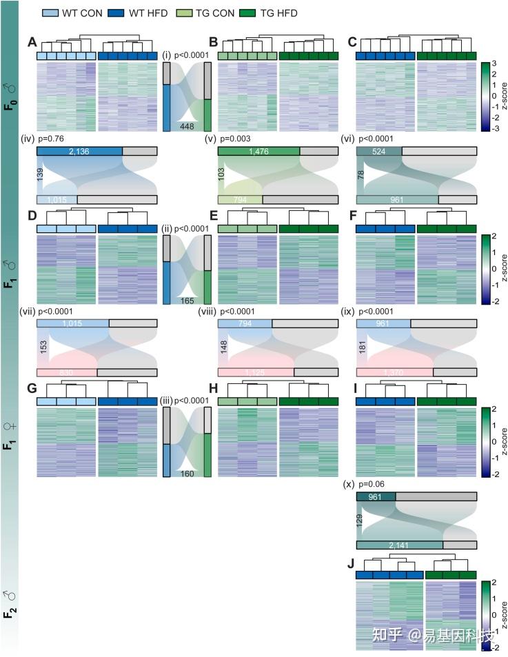 易基因｜表观发育：ChIP-seq揭示精子H3K4me3可传递到胚胎并与代谢功能障碍遗传有关 - 知乎