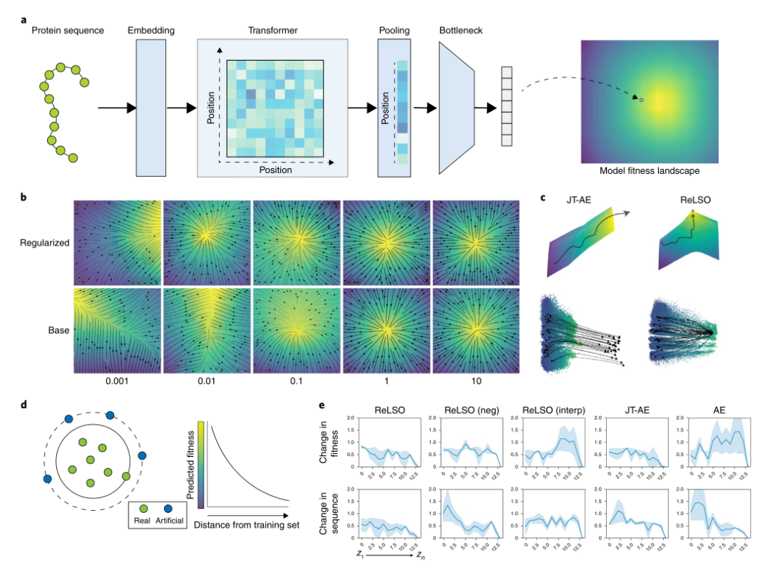 Nat. Mach. Intel. | ReLSO: 具有正则化潜在空间优化的基于Transformer的蛋白生成 - 知乎