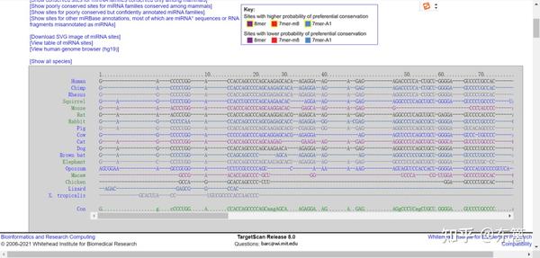 如何预测miRNA的靶基因（TargetScan） - 知乎